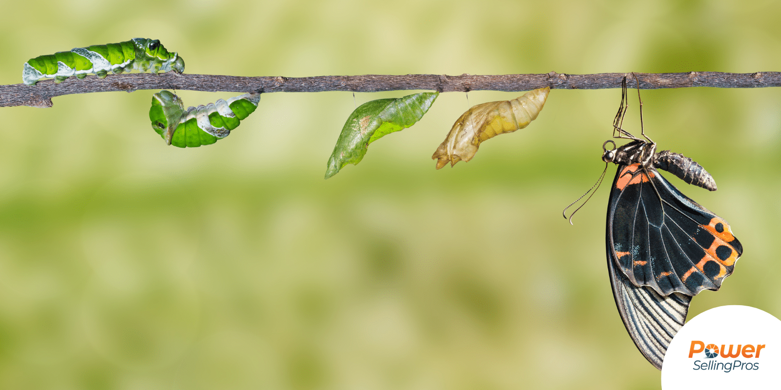 How To Inspire With The Pattern For Excellence - Power Selling Pros